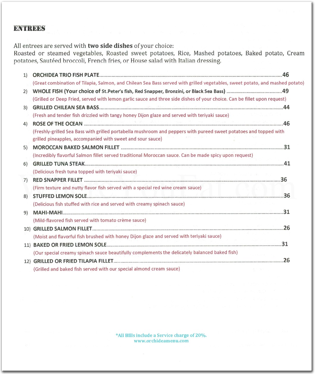 Orchidea in Brooklyn